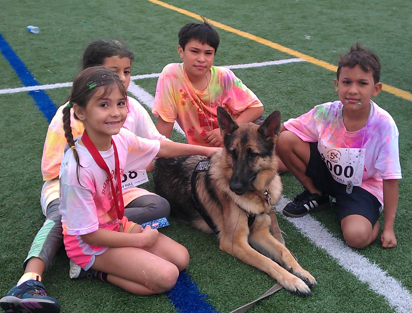 Using Patience With Dog Training - (613) 515-5959 (K9K9)
